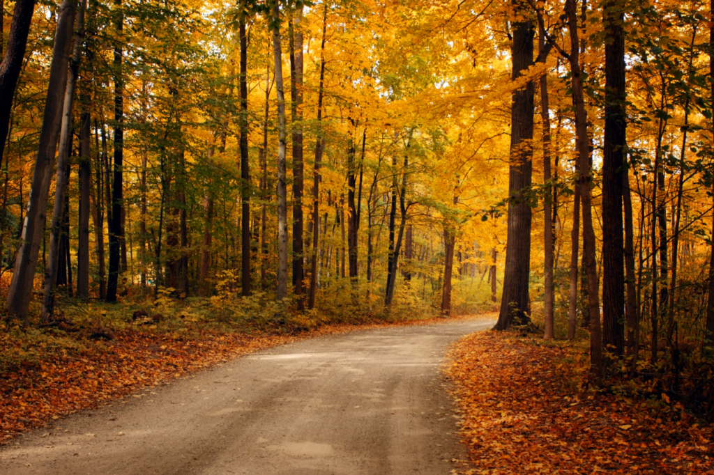20 Fall-Inspired Poems to Cozy Up With: A Complete Collection